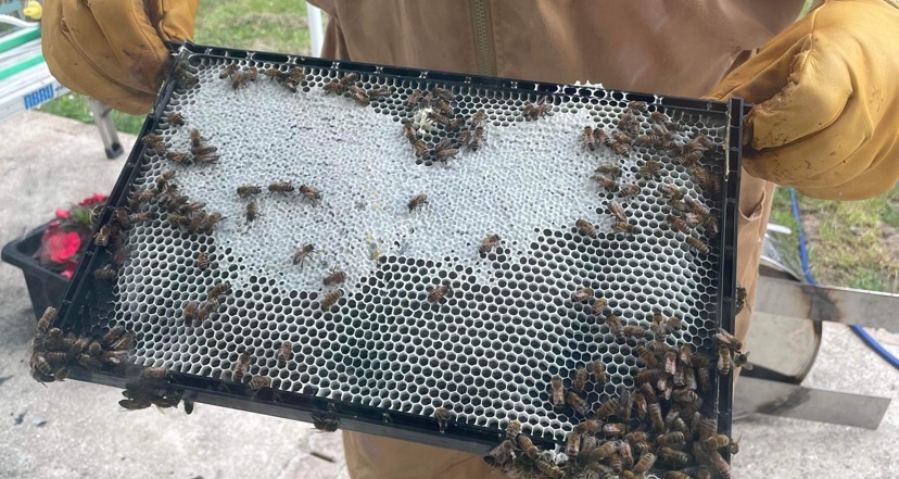 Welcome to frames and feeders - Frames and Feeders